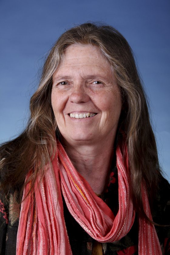 Drout appointed SUNY Distinguished Service Professor | News, Sports ...